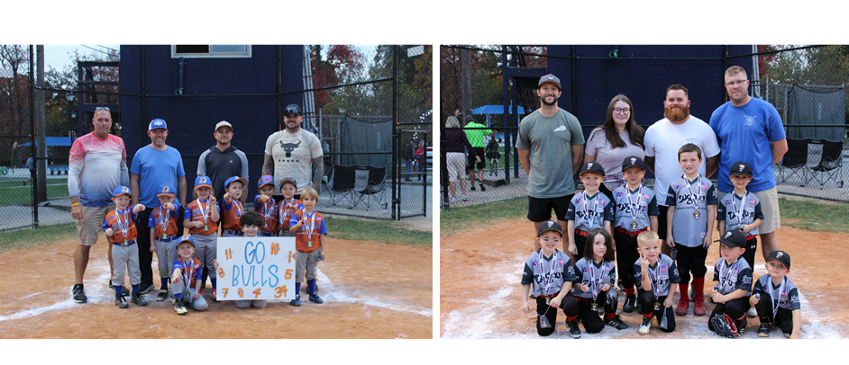 Anderson County Little League Baseball > Home